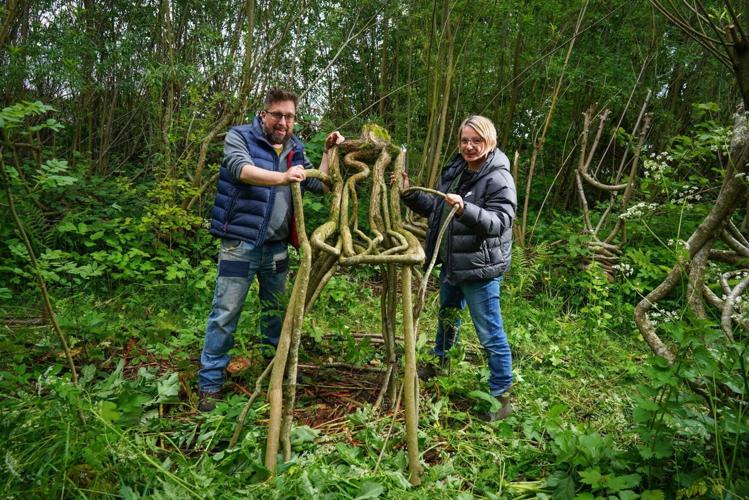 ‘Furniture orchard’ grows trees into chairs | National News ...