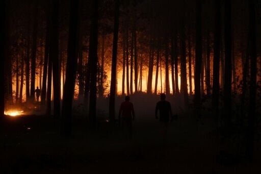 Chile blaze victims plead for help from razed neighborhoods | National ...