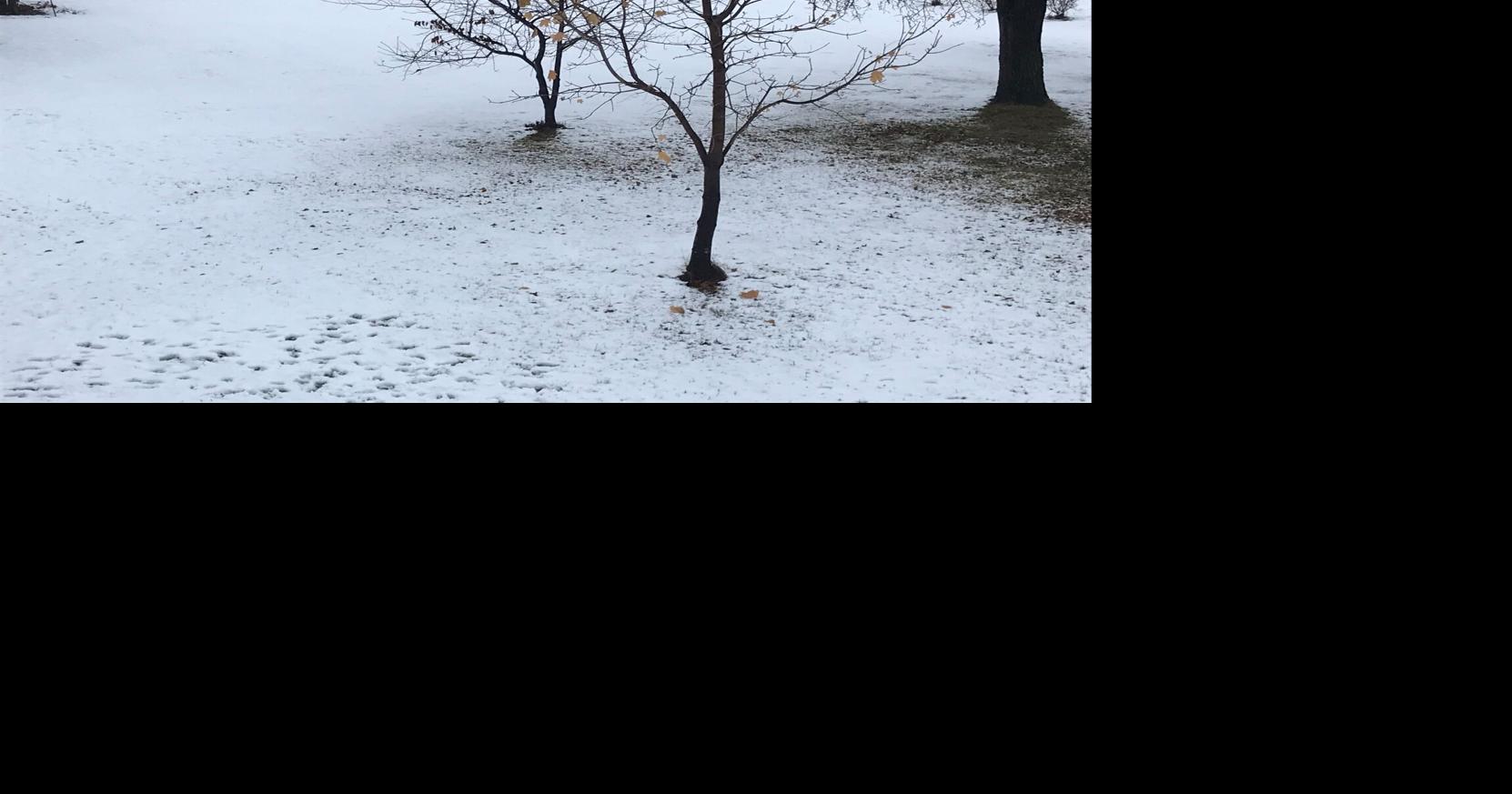 Snow falls over the weekend across the area, Alexandria receives 1 inch ...