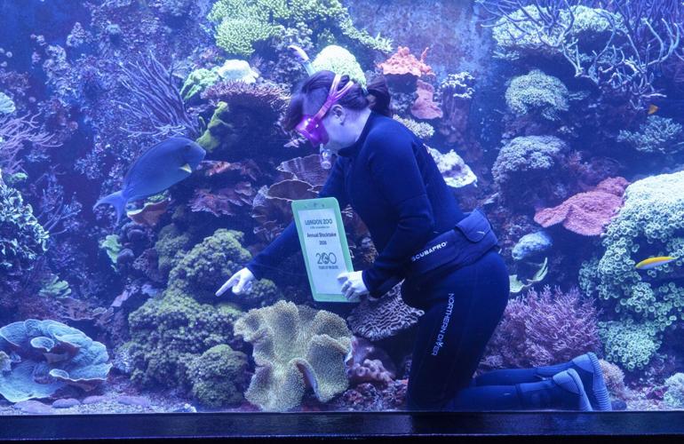 200-year-old zoo conducts annual animal count to start new year ...