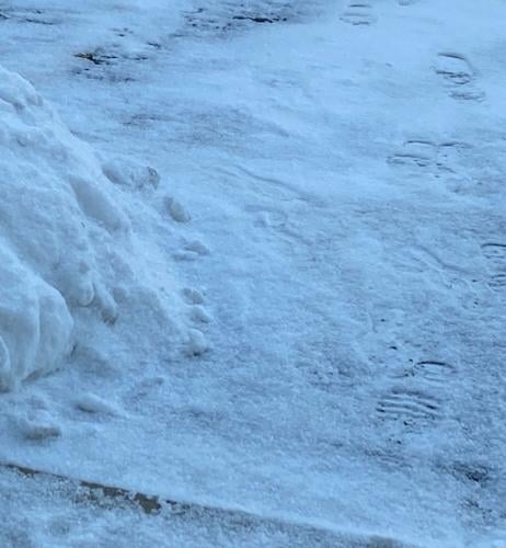 Starbuck sees 3.5 inches of snow Sunday, Alexandria reports 1.5 inches ...