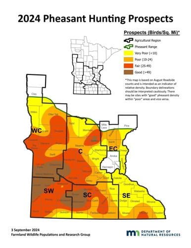 Pheasant season gets underway this weekend across the area | Local News ...