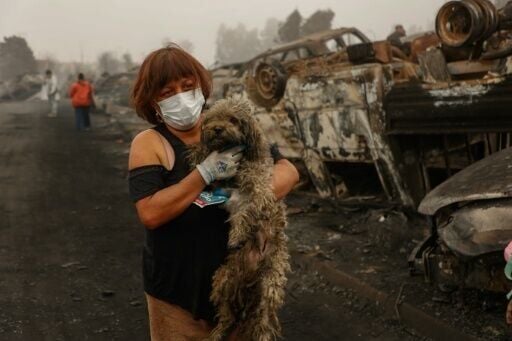 Chile blaze victims plead for help from razed neighborhoods | National ...