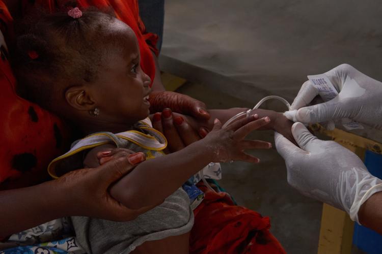 Nigeria’s conflict-hit Borno state battles cholera outbreak that has ...