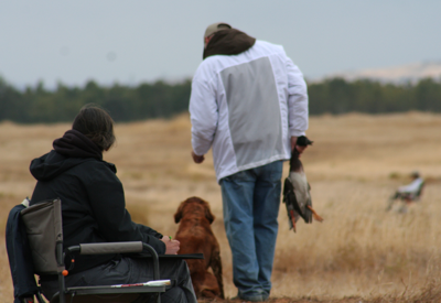 National retriever field trials in Alexandria area | Outdoor ...
