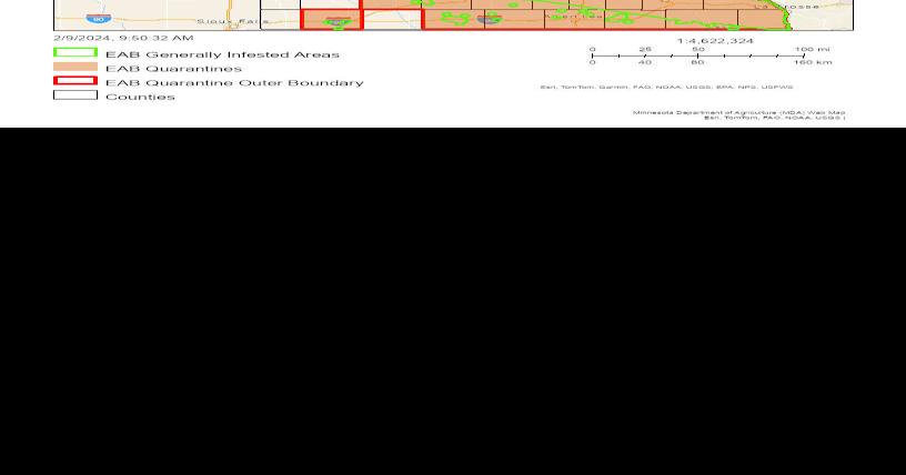 Another county reports emerald ash borer in Minnesota | Local News ...