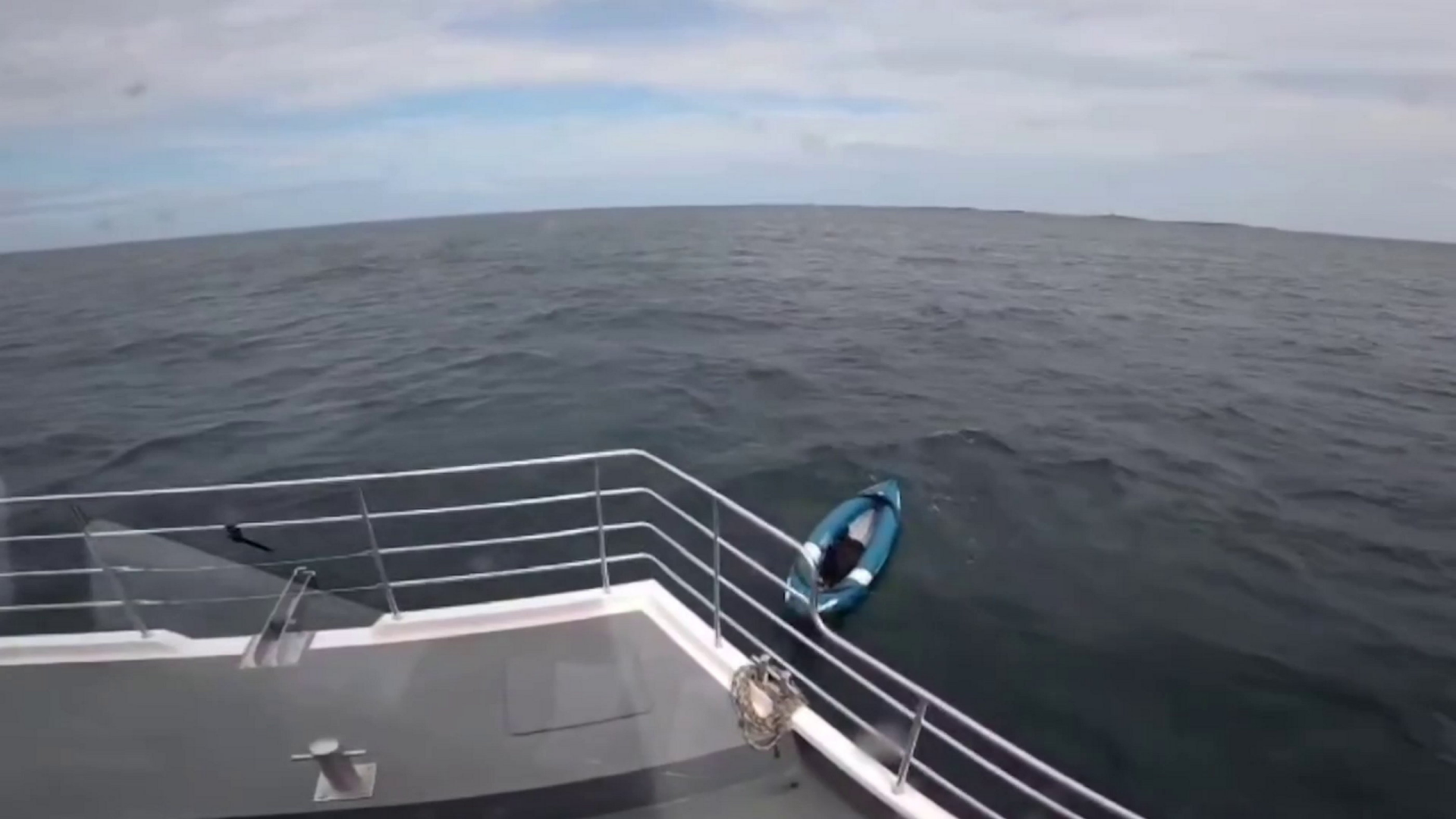 Dog rescued after floating out to sea on kayak | National News ...