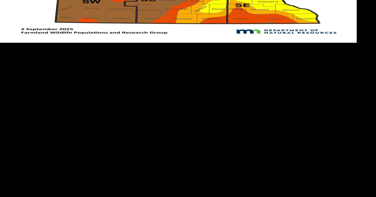 Pheasant numbers are up nearly 50% compared to last year | Local News ...