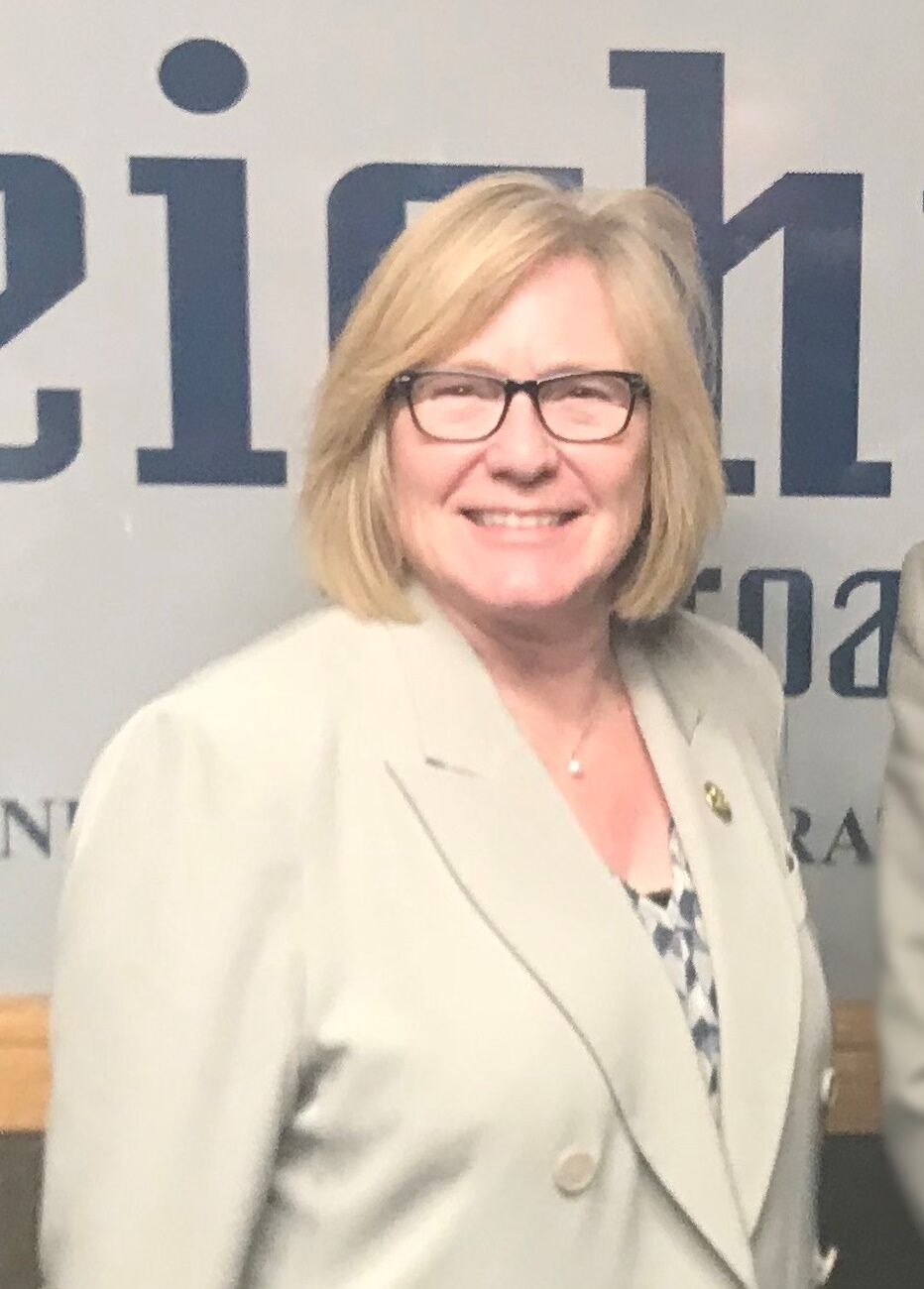 Rep. Michelle Fischbach announces 11 critical infrastructure projects ...