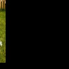 National 811 Day is Friday, remember to call 811 before digging | Local ...