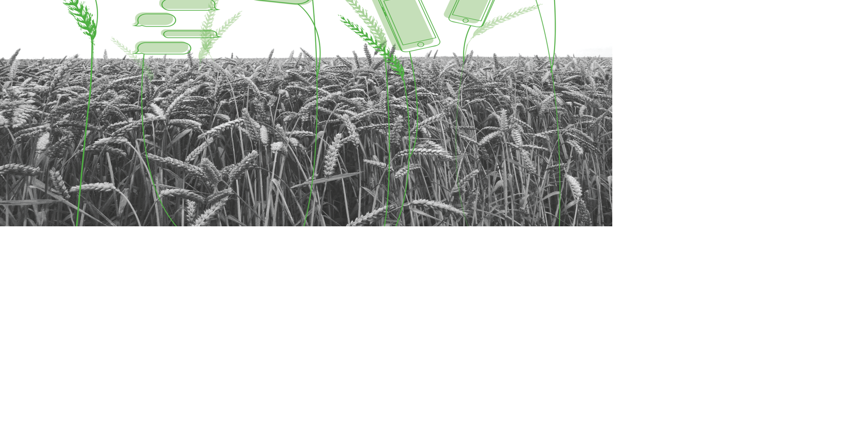 Farmers use social media to give consumers a look inside the industry ...