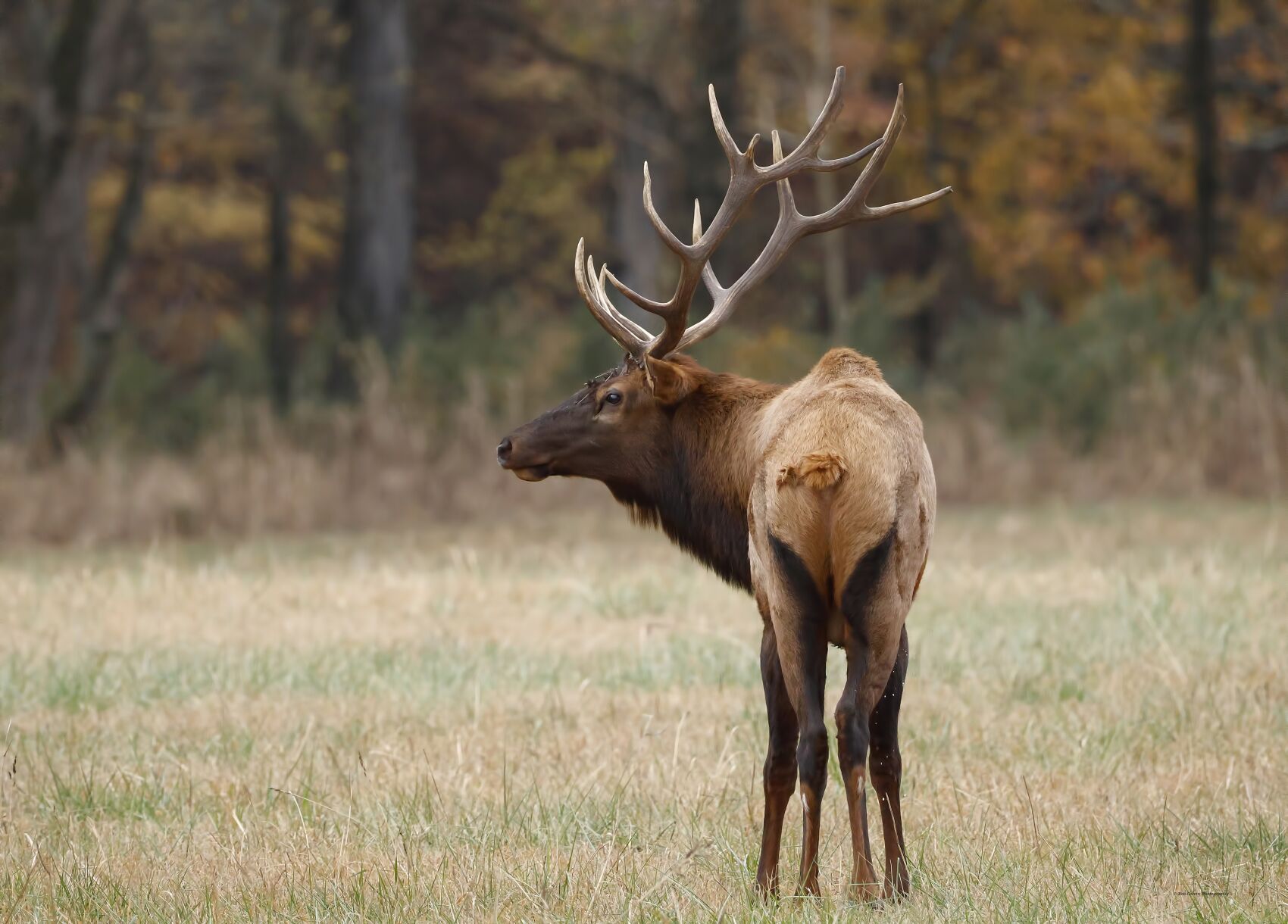 Conservation photography: a look behind the lens | Arts & Culture | Vox ...