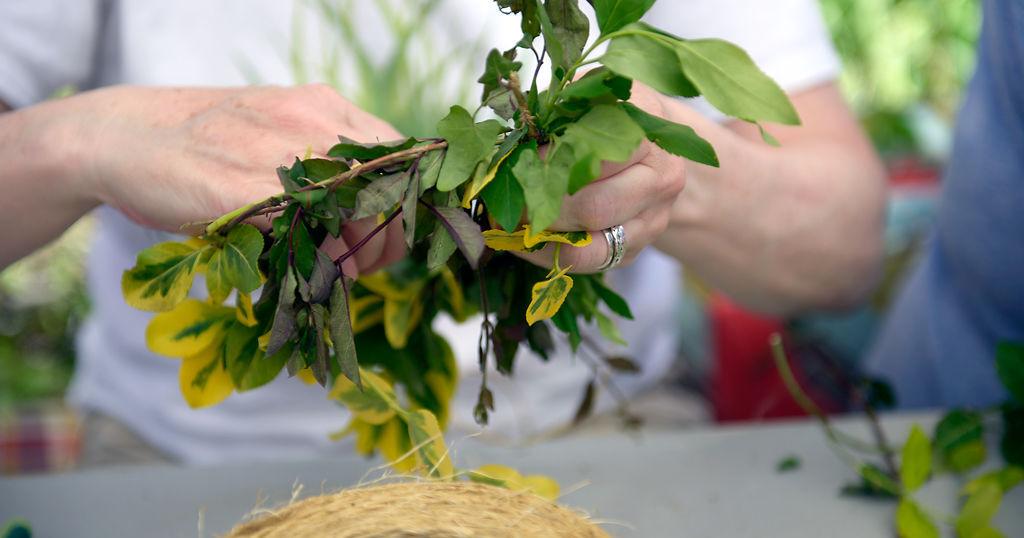 Going green beyond Earth Day | News & Features | Vox Magazine