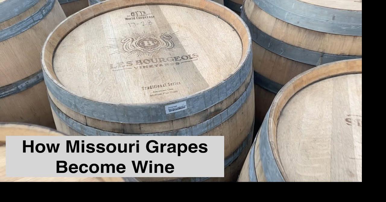How Missouri grapes become wine | Video | Vox Magazine