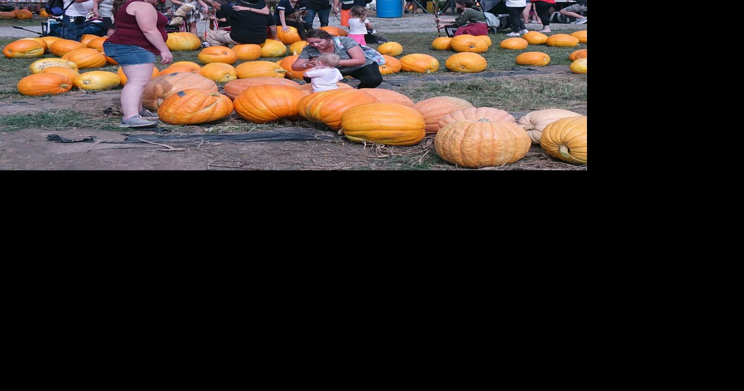 Pumpkin Palooza: Hartsburg hosts 33rd annual pumpkin festival | News & Features | Vox Magazine