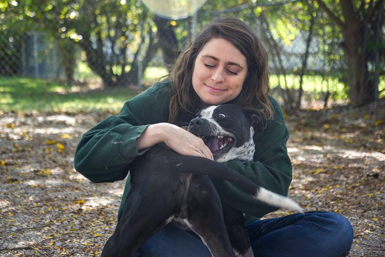 It's raining cats and dogs at overcrowded animal shelters in Columbia ...
