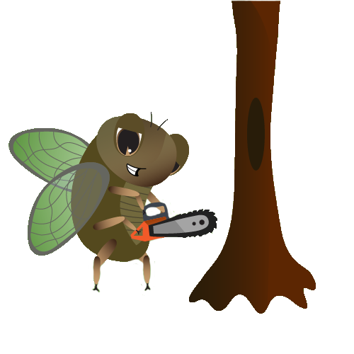 What's the buzz? Get the truth about six cicada myths | News & Features ...