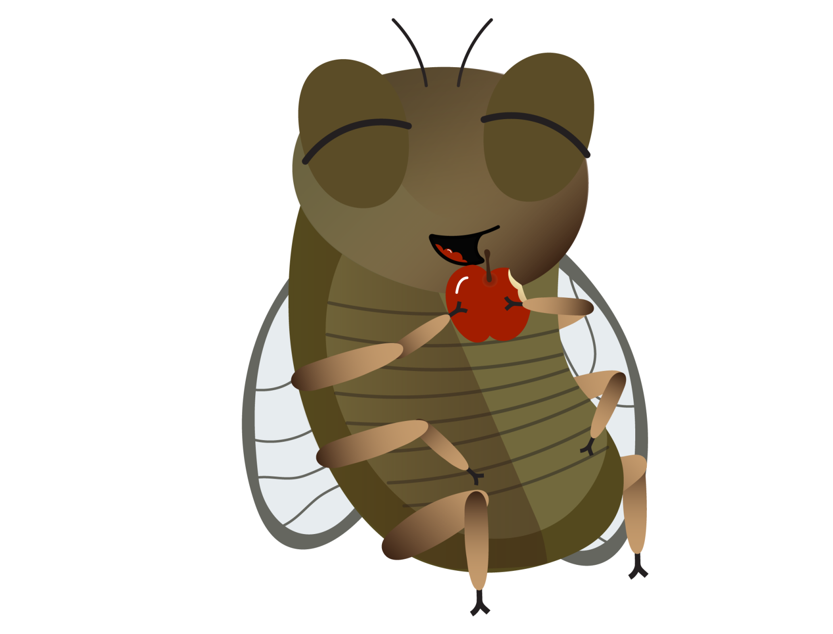 What's the buzz? Get the truth about six cicada myths | News & Features ...