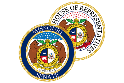 How a bill lives, and how a bill dies | City | Vox Magazine