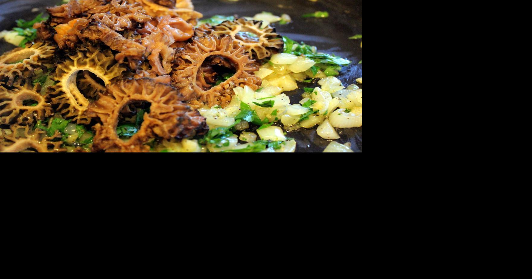 Here’s the Dish: How to hunt, collect and cook seasonal morel mushrooms ...