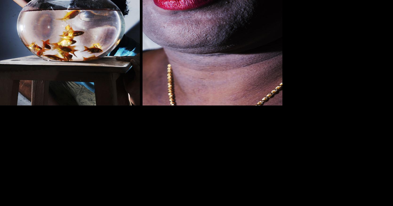 The Lost Head and the Birds | | Vox Magazine