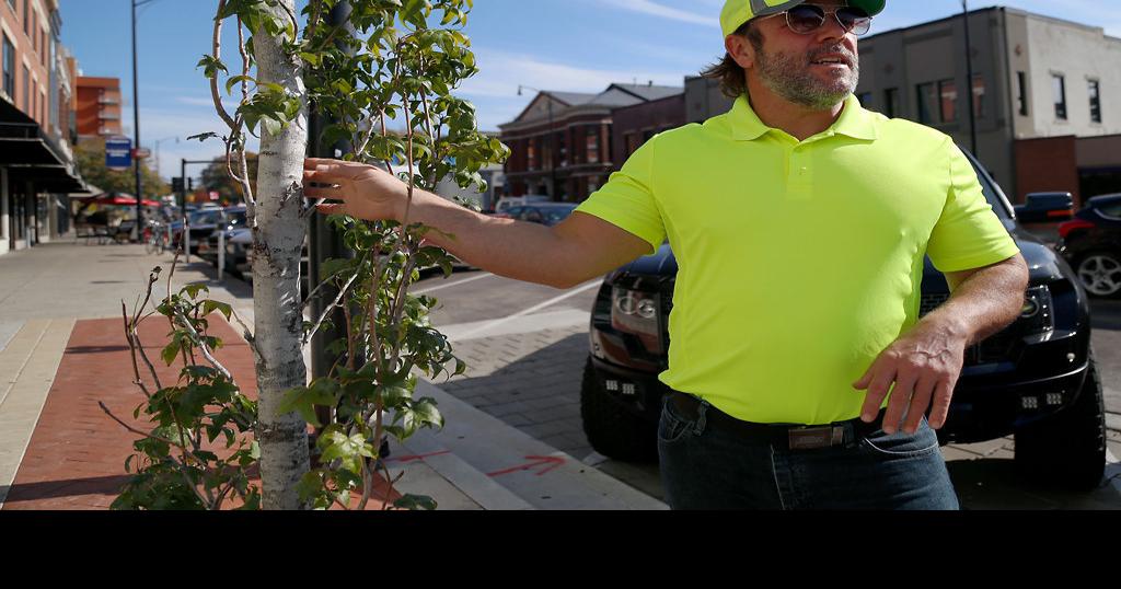 The Really Big Tree Project is planting a seed in downtown Columbia ...