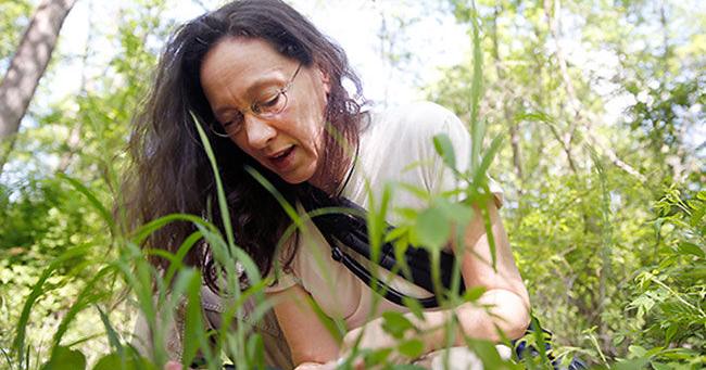 Q&A: Lisa Suits | News & Features | Vox Magazine