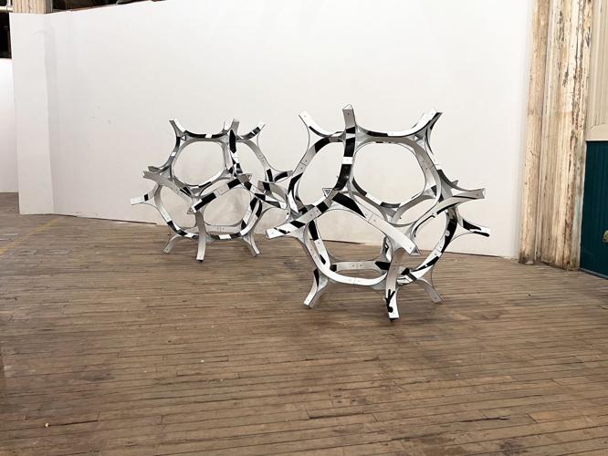 The human paradoxes of True/False's visual artists | Arts & Culture ...