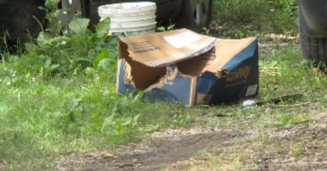 Morgan County Animal Control weighs in on leash laws amidst Town Creek ...