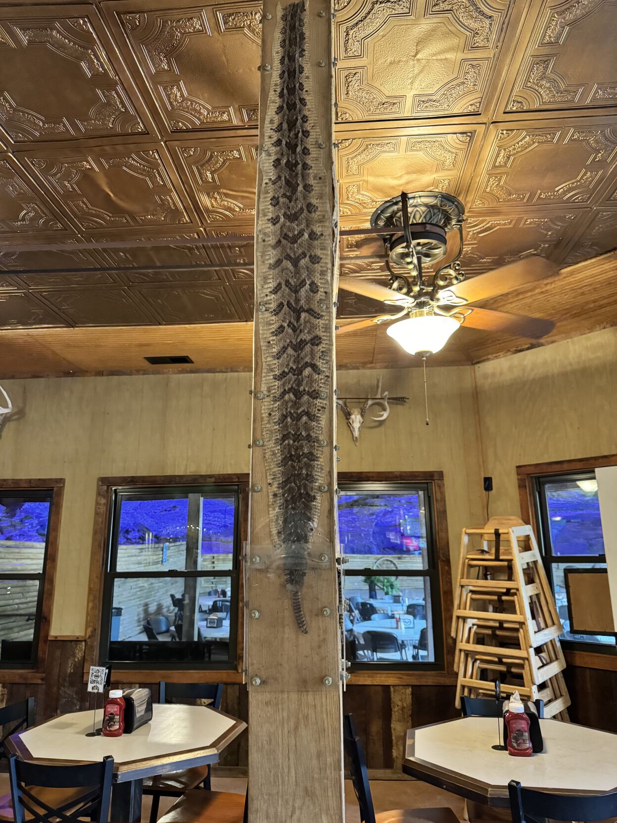 Amber's Alabama: A 'bucket list' visit to Rattlesnake Saloon | Amber's ...