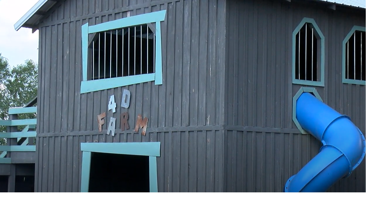 Amber's Alabama: 4D Farm in Cullman is more than your average pumpkin ...