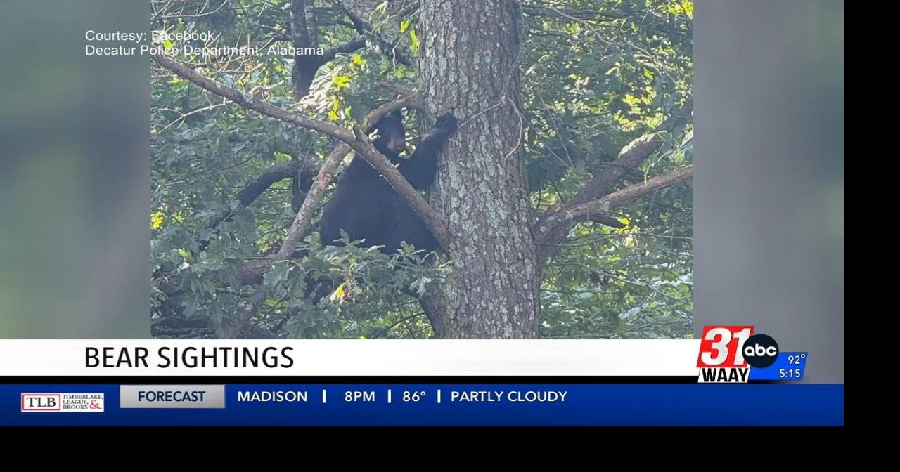 Chupa sa bagets telegram an expert-level massage by an