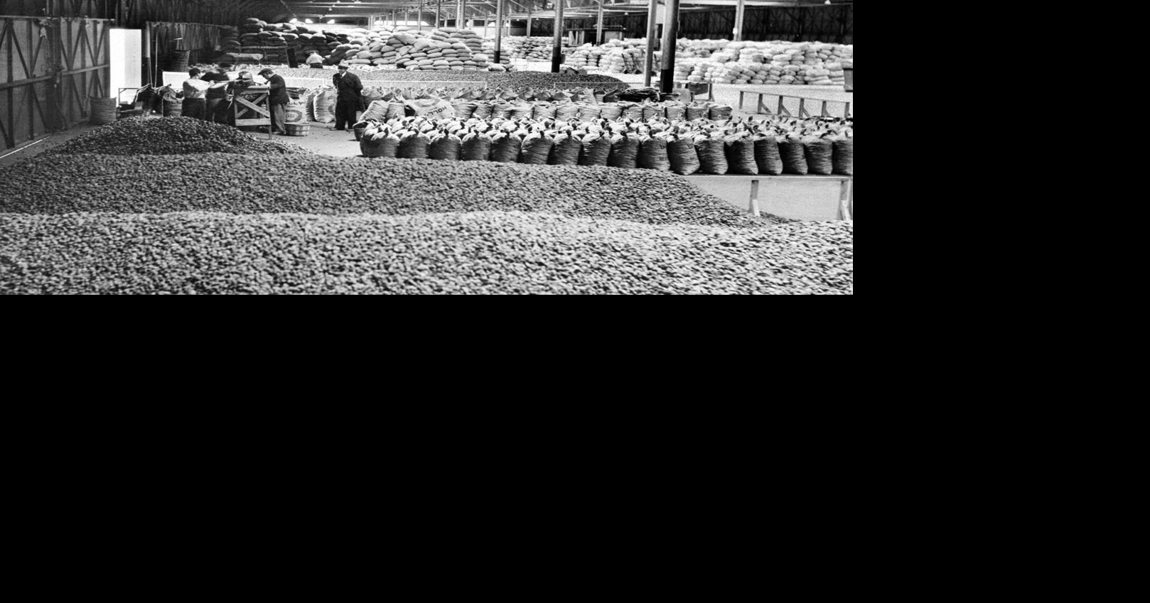 There are hundreds of temporary tariff-free zones — and they’re in the ...