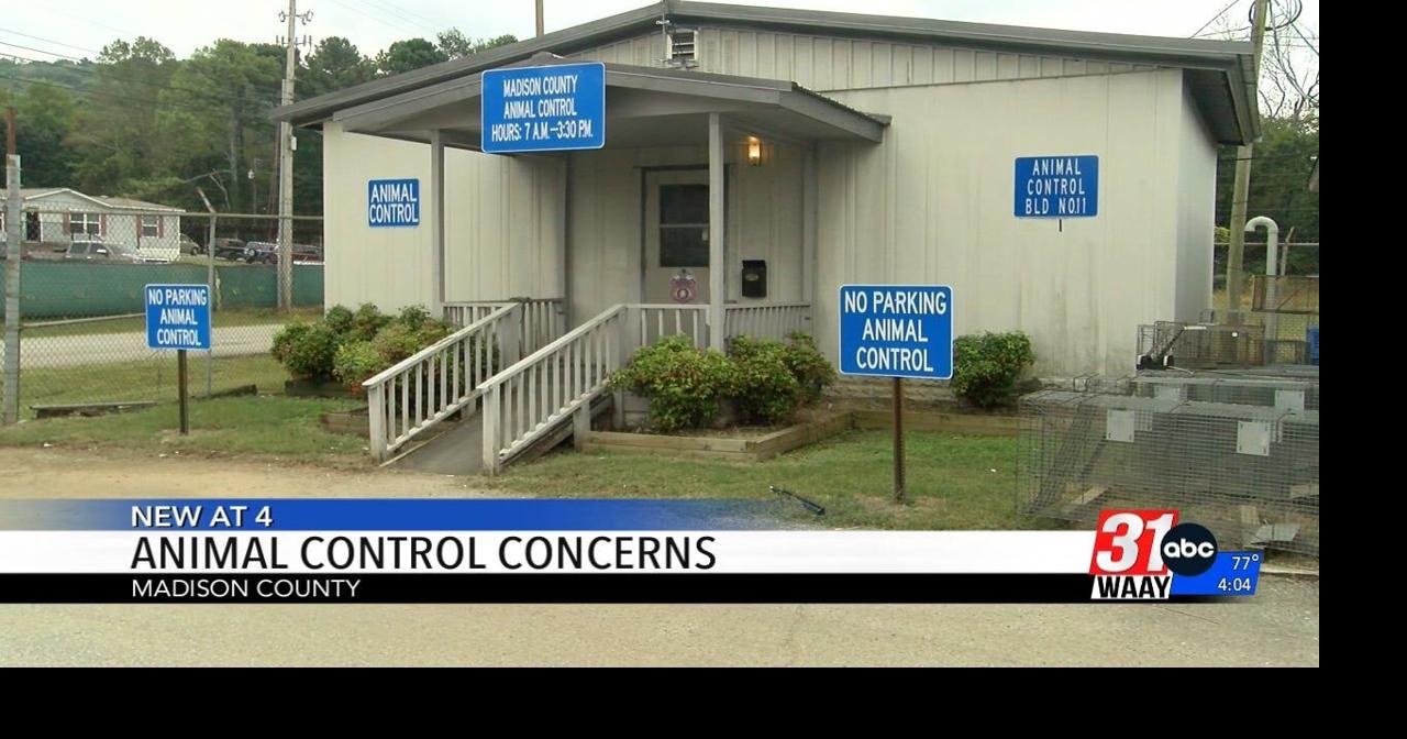 Concern grows as Madison County animal control faces funding cuts ...