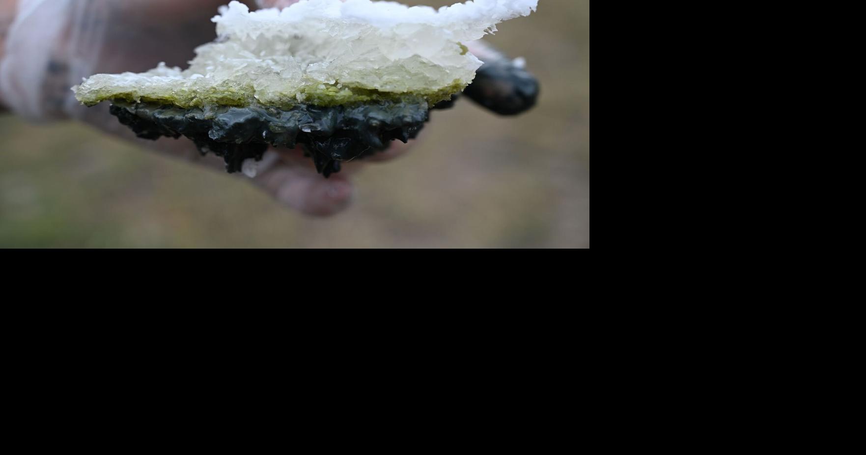 A shallow lake in Canada could point to the origin of life on Earth ...