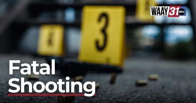 Investigation underway after deadly shooting on Torrance Drive in ...