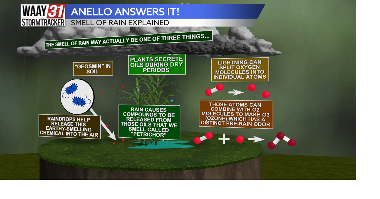 Anello Answers It: Smell of Rain Explained | News | waaytv.com
