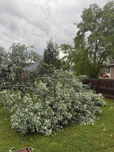 Here's a look at storm damage in North Alabama from Tuesday's severe ...