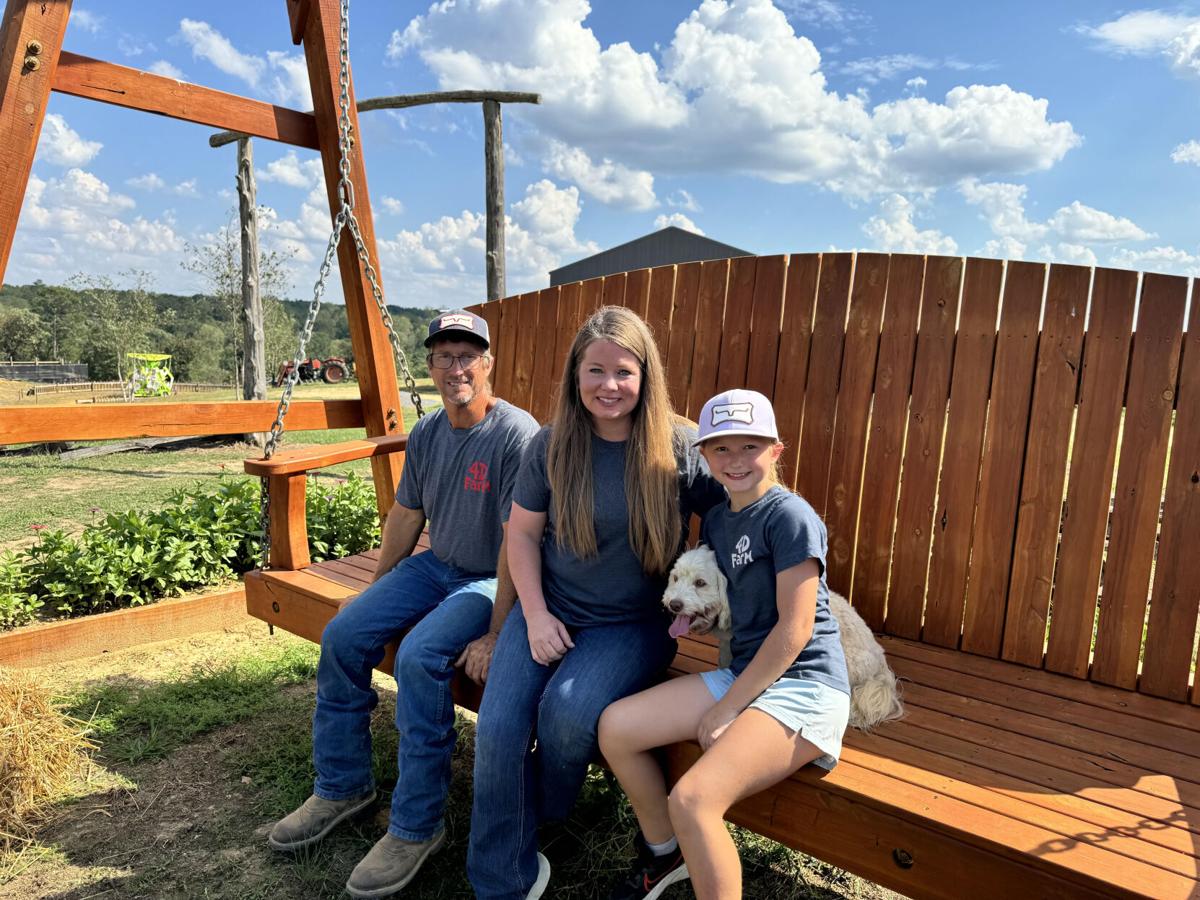 Amber's Alabama: 4D Farm in Cullman is more than your average pumpkin ...