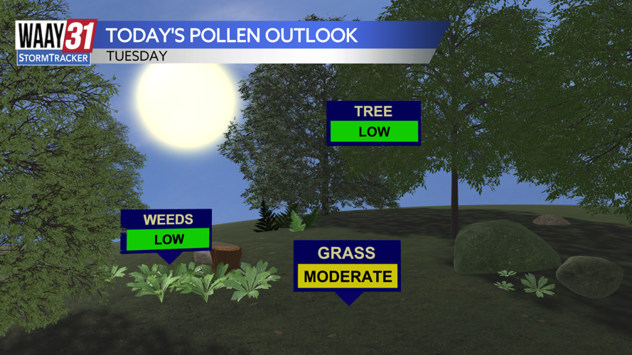 Pollen count on the rise, heat and humidity holding steady | News ...