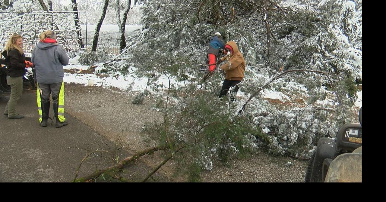 Cleanup underway after weight of snow brings down trees, branches in ...