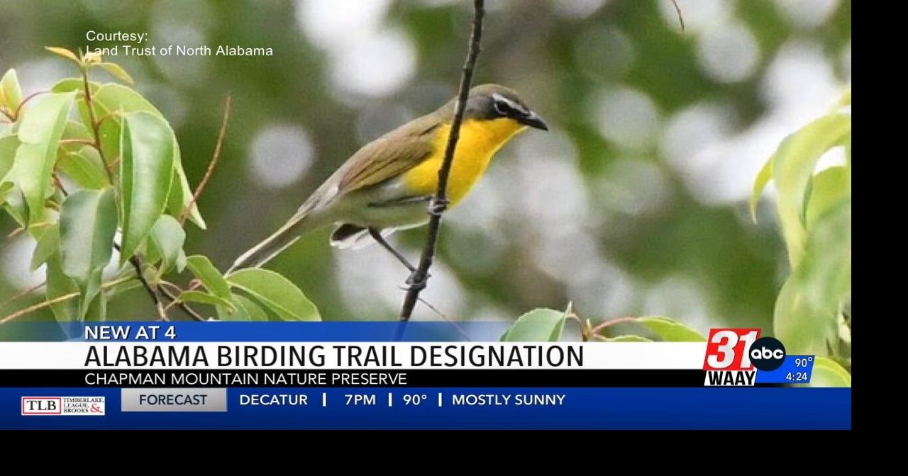 Chapman Mountain Nature Preserve becomes birding trail spot | Video ...