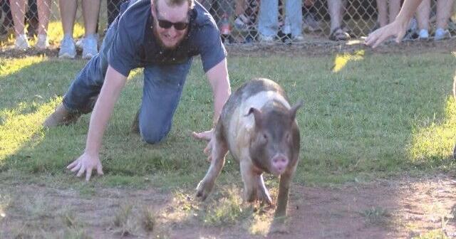Alabama Original: Who are you calling a pig? | Video | waaytv.com