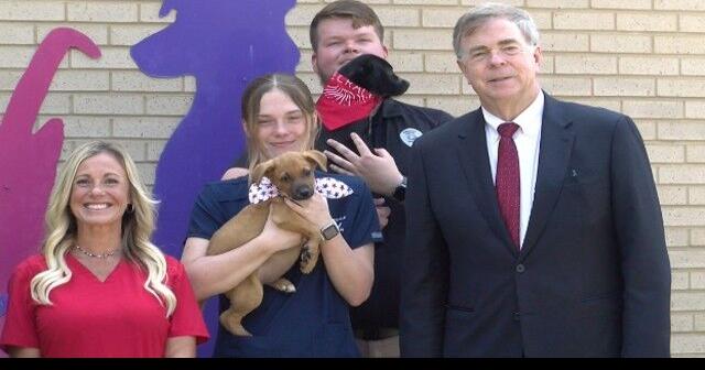 Huntsville Animal Services waiving adoption fees this month in 'Elect ...