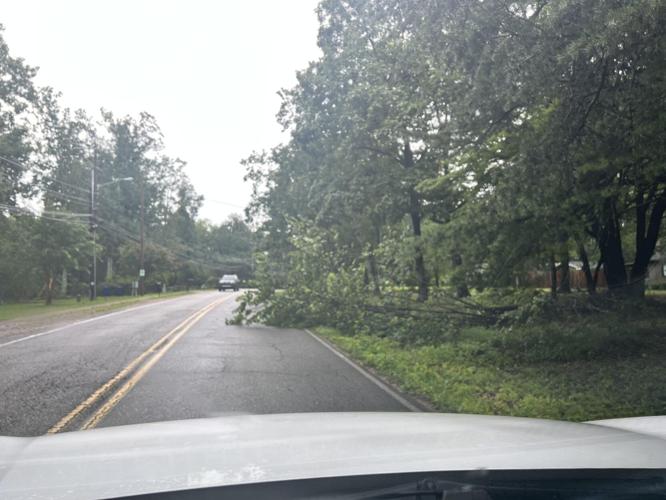 STORM DAMAGE: Here is a look at flooding, fallen tree in North Alabama ...
