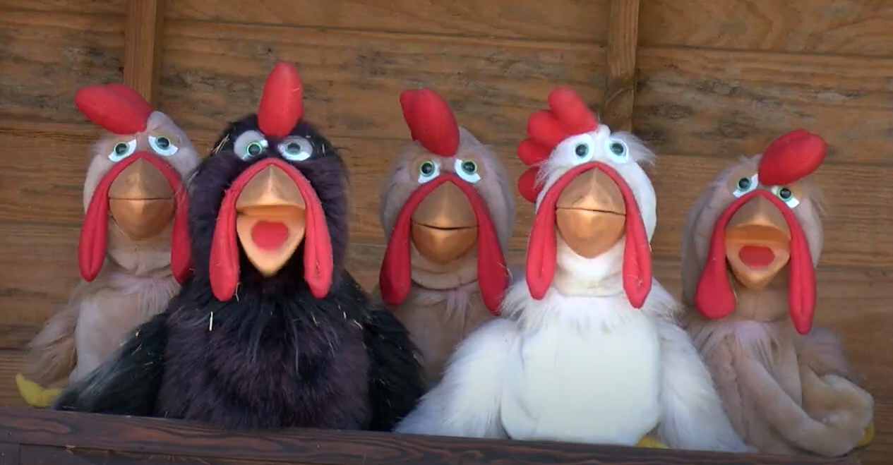 Amber's Alabama: 4D Farm in Cullman is more than your average pumpkin ...