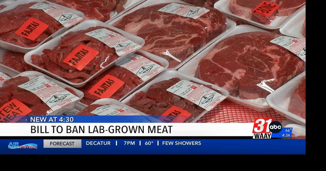 Alabama House passes bill banning lab-grown meat | Video | waaytv.com