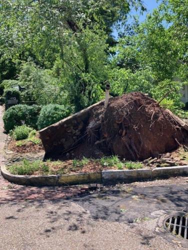 Here's a collection of photos showing the impact of this week's severe ...