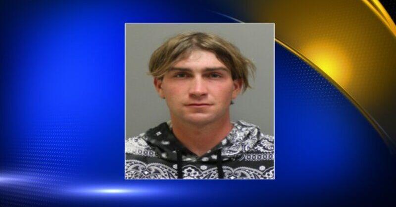 Man in coma with broken jaw, partially torn off ear after fight in ...