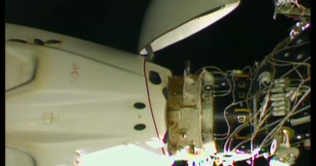WATCH: SpaceX hatch closes for Crew 10 undocking | Video | waaytv.com
